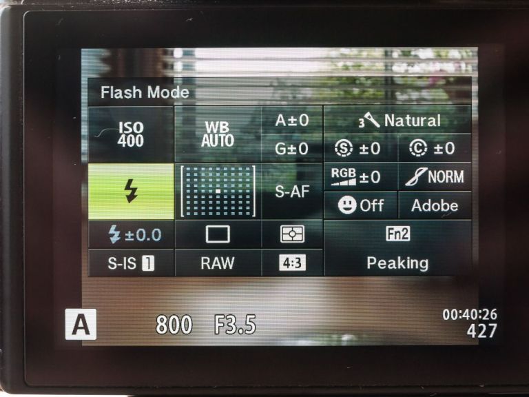 A Flash of Inspiration – part 1 – paulamyes